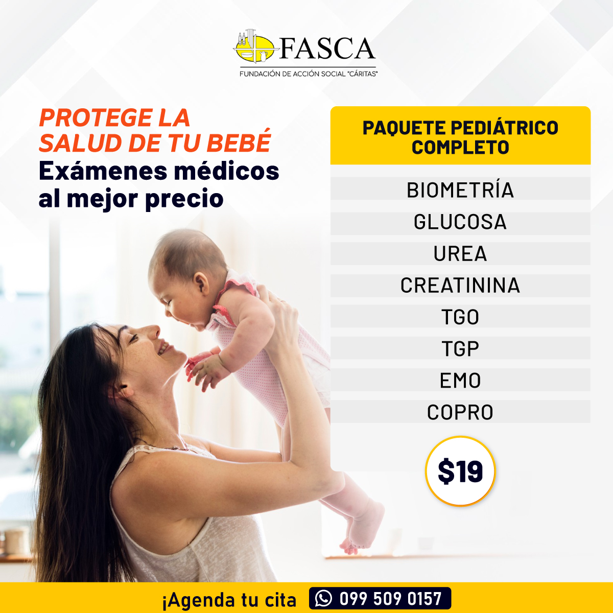 Noticias – FASCA